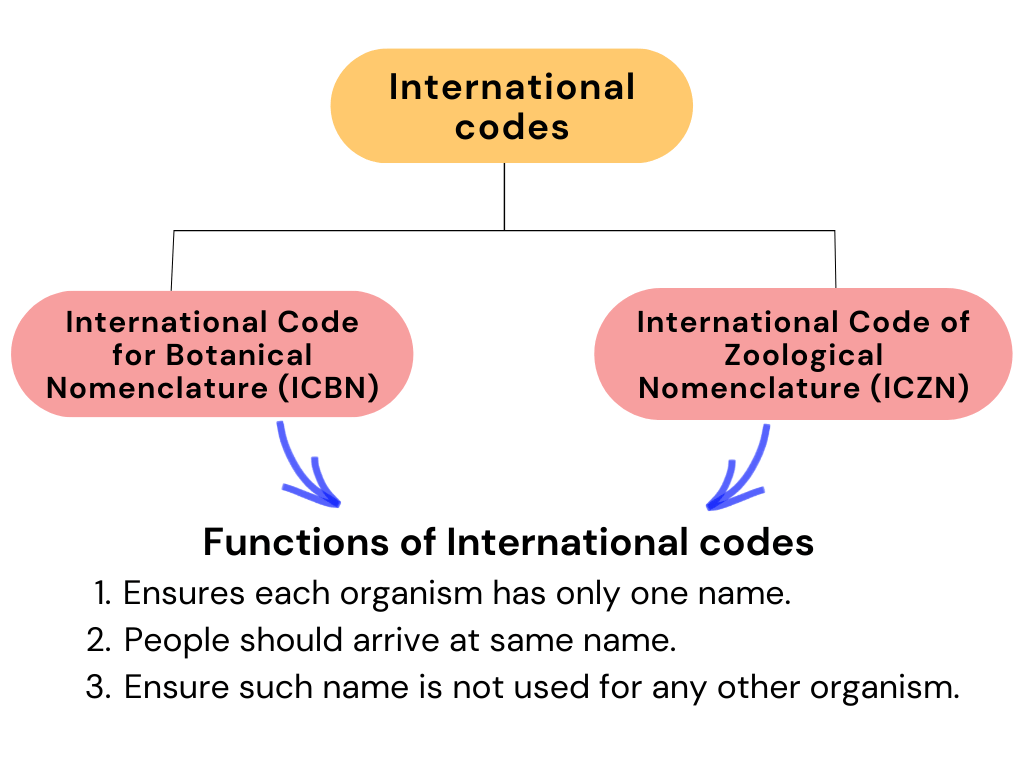 Taxonomy: Identification, Nomenclature and Classification - Biology ...