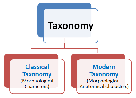 Taxonomy: Identification, Nomenclature & Classification | Biology Class ...