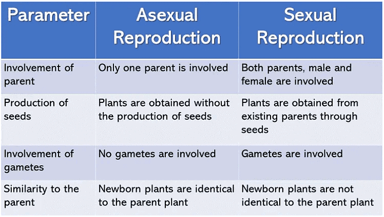 Introduction to Reproduction in Organisms - Biology Class 12 - NEET PDF ...