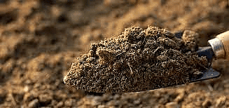 Improvement in Food Resources Class 9 Notes Science Chapter 12 Free PDF