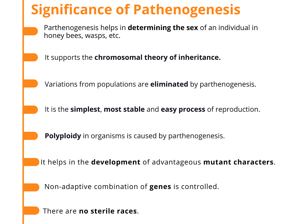 Parthenogenesis and Its Types - Biology Class 12 - NEET PDF Download Parthenogenesis and Its Types - Biology Class 12 - NEET PDF Download