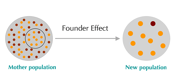 Evolution of Life: Origin of Life - Biology Class 12 - NEET PDF Download