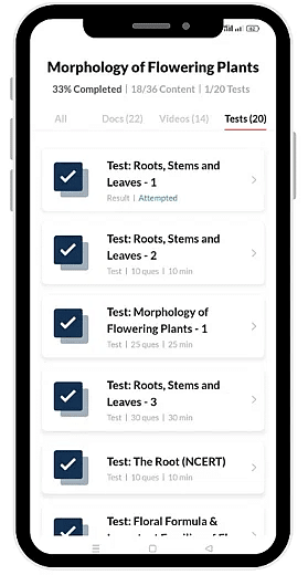 How to Master Morphology of Flowering Plants for NEET? - Topic-wise MCQ ...