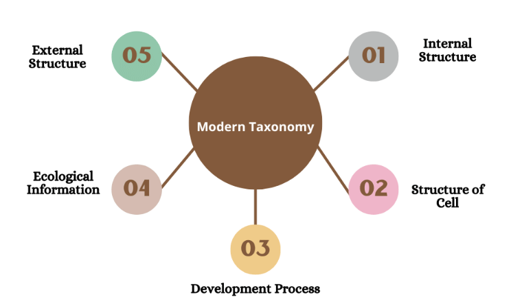Taxonomy: Identification, Nomenclature & Classification | Biology Class ...