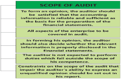 Nature, Objective and Scope of Audit: Notes - CA Intermediate PDF Download