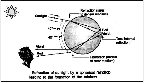 Detailed chapter Notes - Ray Optics : Human Eye and Colourful World ...