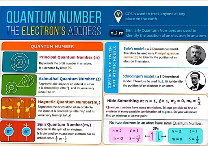 Quantum Number - Class 11 PDF Download