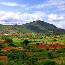 The Southern Plateaus - 2 Class 4 Worksheet SST