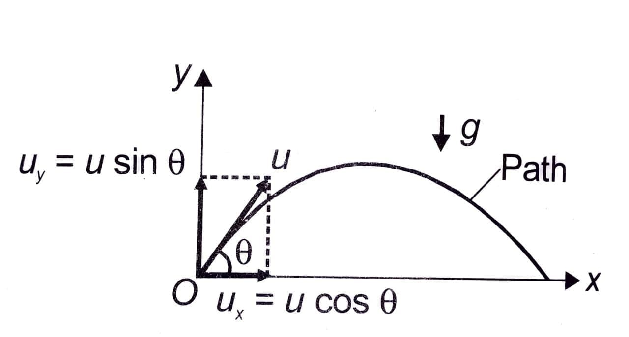 Projectile Motion - Class 11 PDF Download