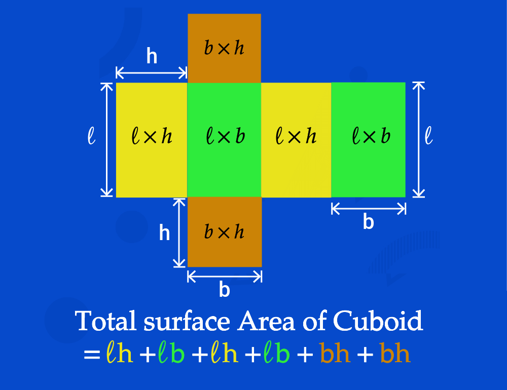 Facts that Matter: Surface Areas and Volumes - Practice - Class 9 PDF ...