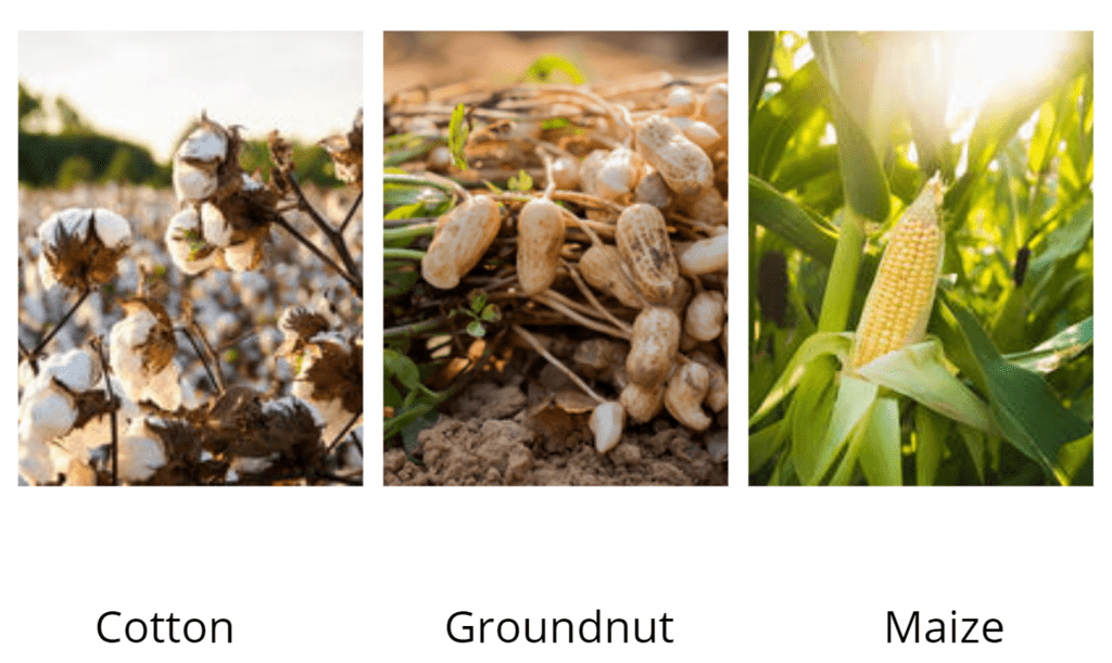 Crop Production and Management - Practice Chapter Notes - Class 8 PDF ...