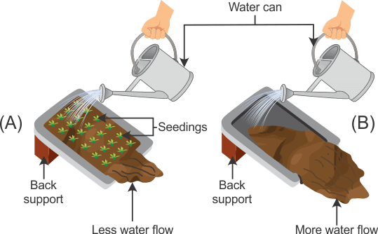 Natural Resources Class 9 Notes Science Free PDF