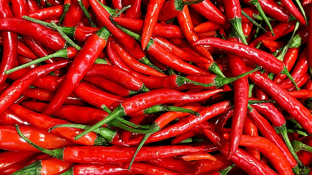 Spicy Riddles - 1 Class 4 Worksheet EVS Chapter 25