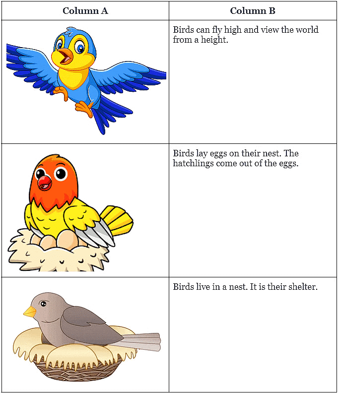 Bird Talk - 1 Class 3 Worksheet English Unit 2