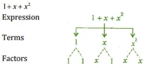 NCERT Solutions for Class 7 Maths - Algebraic Expressions- 1