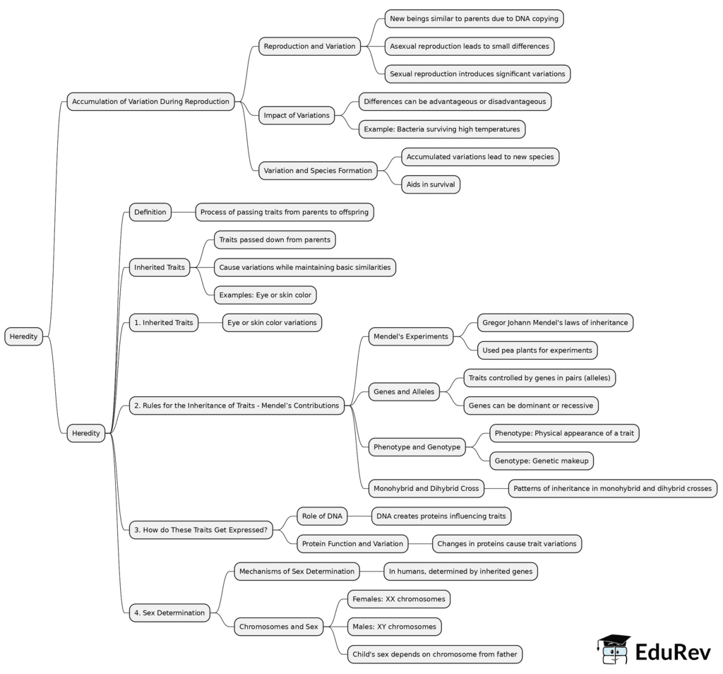 Mindmap: Heredity - Science Class 10 PDF Download