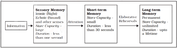 Human Memory Class 11 Psychology