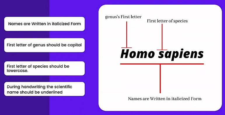 Taxonomy: Identification, Nomenclature & Classification - Notes | Study ...