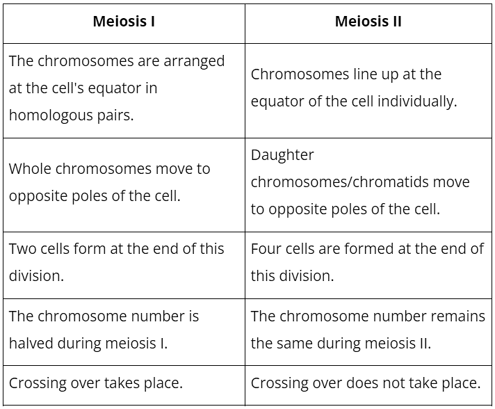 Meiosis: Types, Stages and Significance - Biology Class 11 - NEET PDF ...