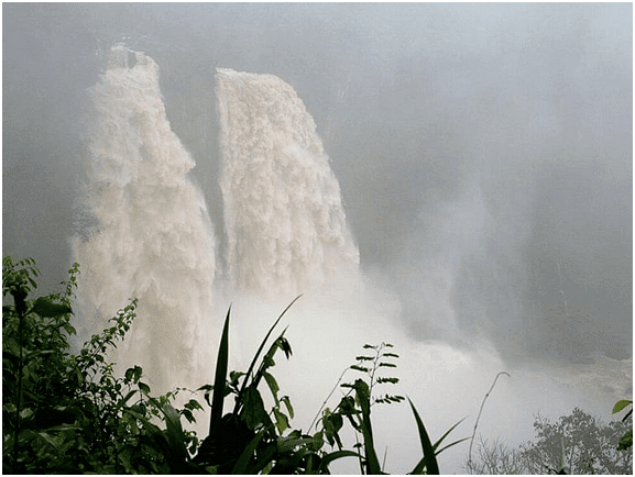 NCERT Solutions for Class 8 Geography Chapter 4 - Air