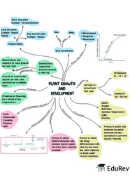 Mind Map Plant Growth And Development Biology Class 11 NEET PDF