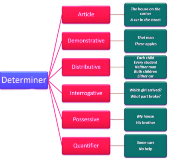 Detailed Notes: Determiners - English Grammar Advanced - Class 10 PDF ...