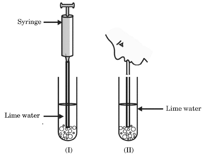 Class 10 Science Chapter 5 Previous Year Questions - Life Processes