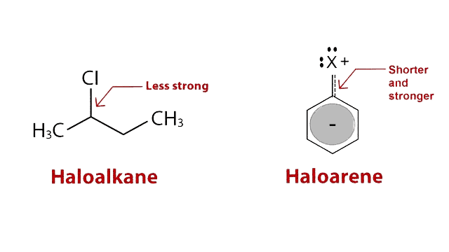 Classification & Nomenclature of Haloalkanes & Haloarenes | Chemistry Class 12 - NEET