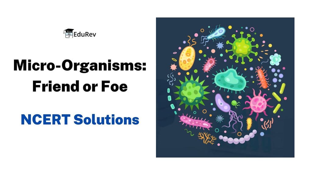 NCERT Solutions for Class 8 Science - Microorganisms- Friend and Foe