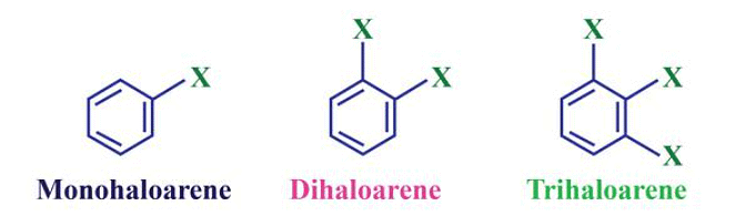 Classification and Nomenclature of Haloalkanes and Haloarenes - Chemistry Class 12 - NEET PDF ...