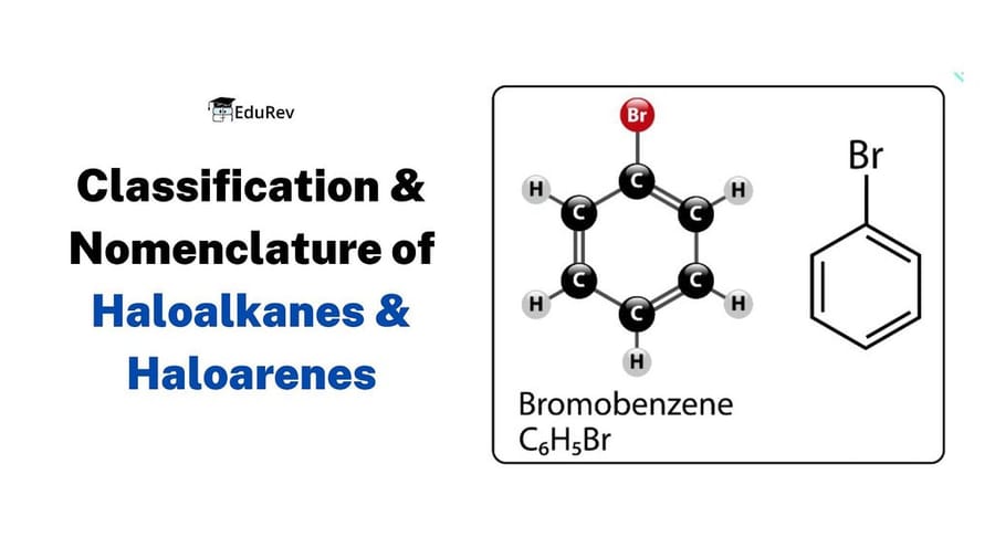 Classification & Nomenclature of Haloalkanes & Haloarenes | Chemistry Class 12 - NEET