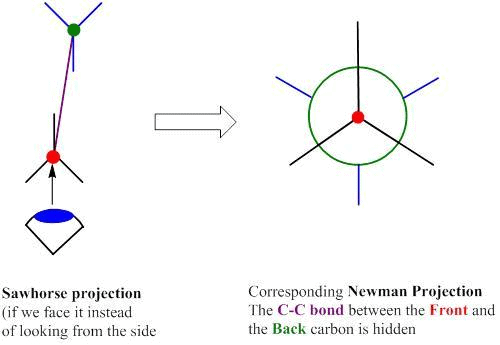 Sawhorse, Newman, Fischer Projections and their Interconversions ...