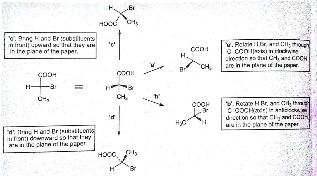 Sawhorse, Newman, Fischer Projections & their Interconversions ...