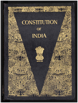 Class 8 Civics Chapter 1 Notes - The Indian Constitution Free PDF