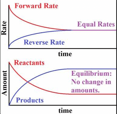 Chemical Equilibrium, Law of Mass Action and Applications - Chemistry ...