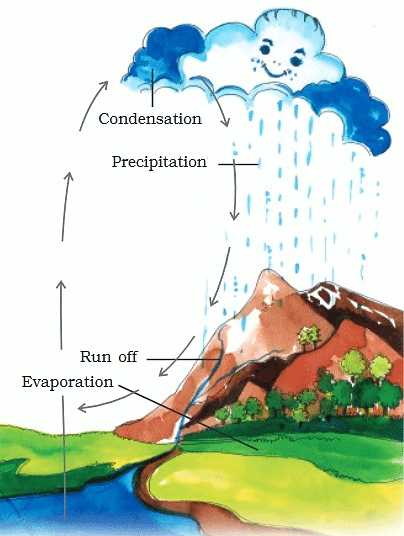 Water Cycle Diagram For Class 7