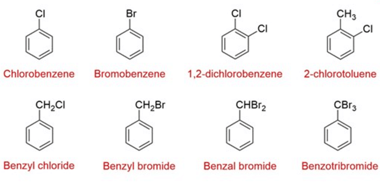 Classification & Nomenclature of Haloalkanes & Haloarenes | Chemistry Class 12 - NEET PDF Download