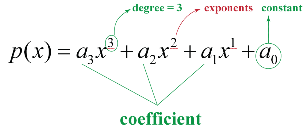 Polynomials Class 10 Notes Maths Chapter 2 Free PDF
