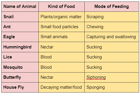 Nutrition in Animals Class 7 Notes Science Chapter 2 Free PDF