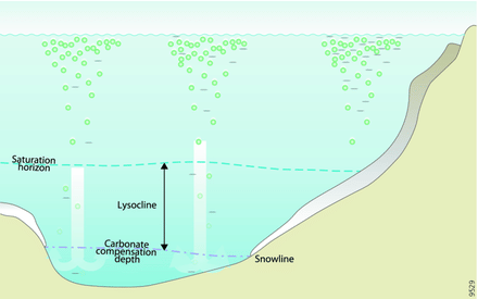 Shankar IAS Summary: Ocean Acidification - Famous Books for UPSC Exam ...
