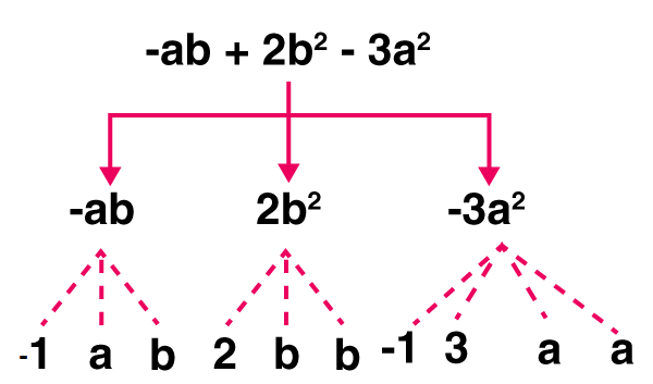 ALGEBRIC EXPRESSIONS CHAPTER SOLUTIONS - Class 7 PDF Download