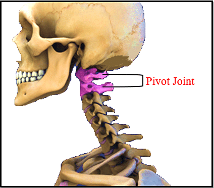 Mechanical Pivot Joint Examples