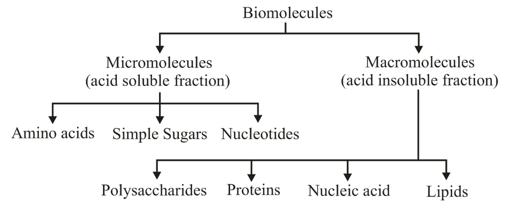 Biomolecules and Its Types - Biology Class 11 - NEET PDF Download Biomolecules and Its Types - Biology Class 11 - NEET PDF Download