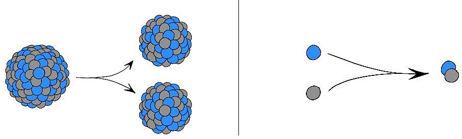 Importance and Scope of Chemistry - Chemistry Class 11 - NEET PDF Download