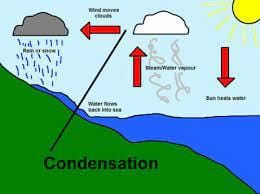 Class 5 Science - Air and Water - CBSE Worksheets - 2