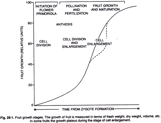 Introduction to Plant Physiology - Class 11 PDF Download