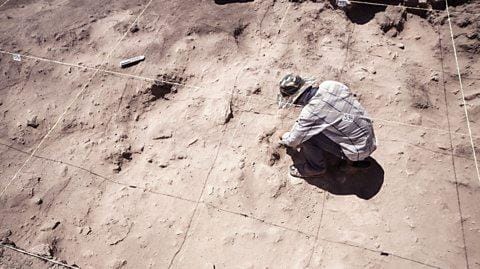 Plotting coordinates in the four quadrants - Year 7 PDF Download