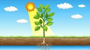 Our Environment Class 3 Notes Science Free PDF
