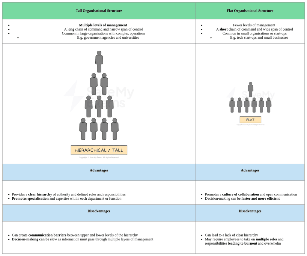 Organisational Charts and Roles - Year 11 PDF Download