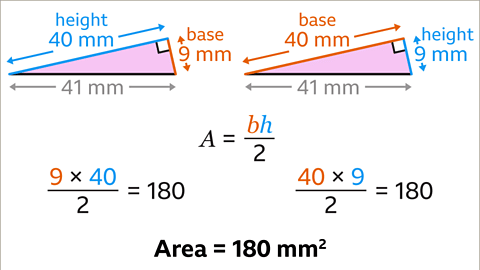 Area of Triangles - Year 7 PDF Download